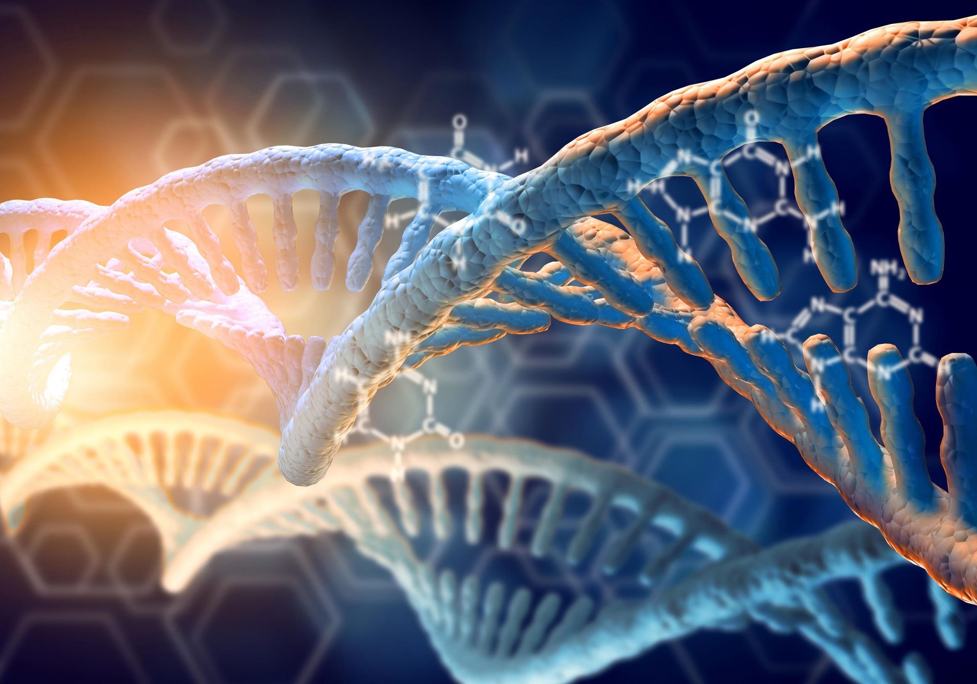 A Carrier Of God's DNA